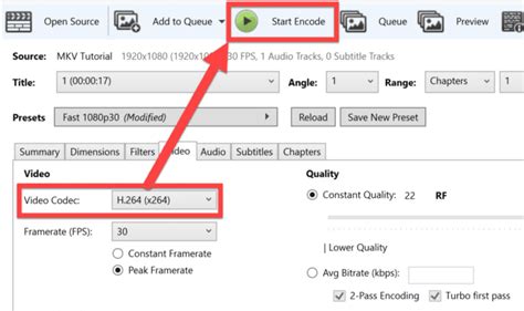 Import MKV DaVinci Resolve Fix Issues Errors Audio