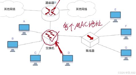 【计算机网络】单播帧和广播帧在一个局域网内部的传播过程662n4 Csdn博客