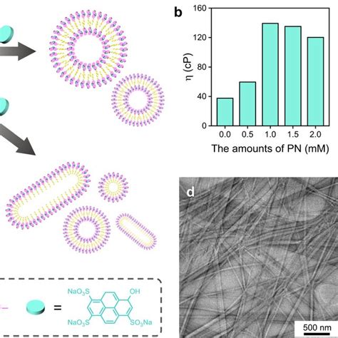 Characteristics Of Structure Controlled Supramolecular Polymerization A