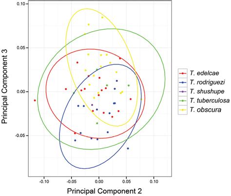 Principal Components 2 And 3 From Analysis Of Eight Morphological Download Scientific Diagram