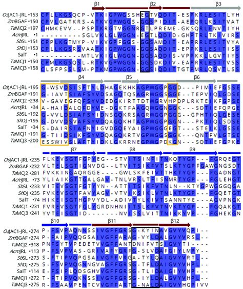 Sequence Alignment Clustal Omega Multiple Sequence Alignment 47 Of Download Scientific