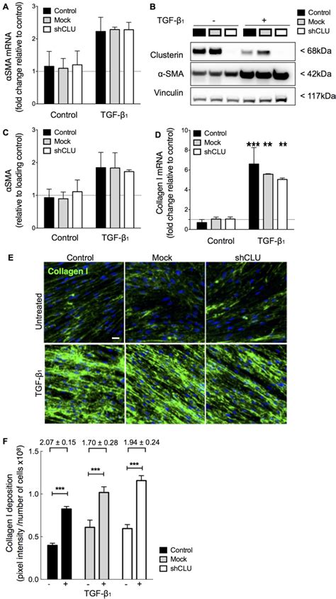 Diverse Functions Of Clusterin Promote And Protect Against The Development Of Pulmonary Fibrosis