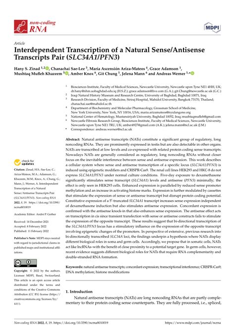 Pdf Interdependent Transcription Of A Natural Senseantisense Transcripts Pair Slc34a1pfn3