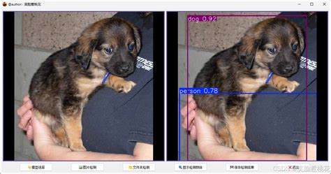 yolov11可视化界面ui设计；yolov12；yolov10；yolov8等通用，基于pyqt5，单文件即插即用，支持文件夹检测及云摄像头