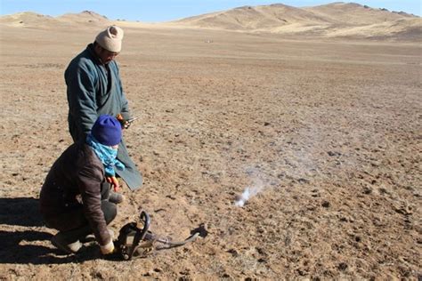 40 мянган га бэлчээрийг үлийн цагаан оготноос хамгаална