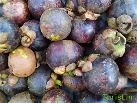 Фрукты Таиланда 🥭 с фото и названиями 2025