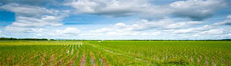 ក្រុមហ៊ុនហ្រ្គីនត្រេដ