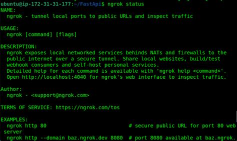 Hosting An Ngrok Remote Web App On Aws