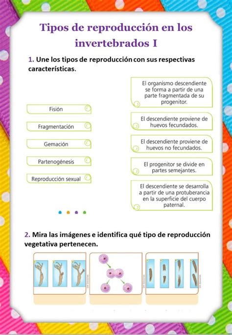 Reproducción De Invertebrados Worksheet Ciencias De La Naturaleza