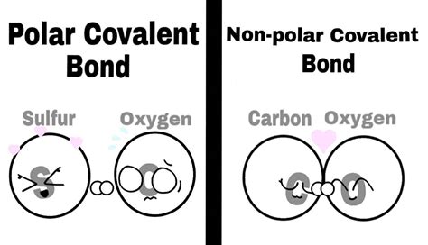 Polar Covalent Bond Vs Nonpolar Covalent Bond