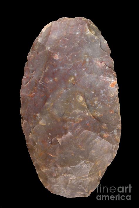 Neolithic Oval Biface Tool Photograph By Pascal Goetgheluck Science Photo Library Fine Art America