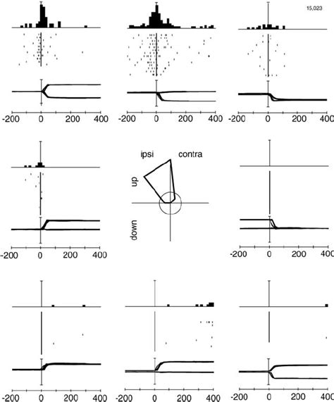 Sensitivity Of A V6a Saccade Related Cell To The Direction Of Saccade