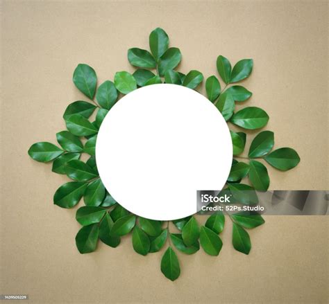 중앙에 흰색 평평한 종이 원 모양과 신선한 녹색 잎사귀가 베이지색 배경에 빈 공간으로 격리되어 있습니다 생태 개념 또는 초대 인사말 카드 낭만적 인 결혼식 최소한의 디자인