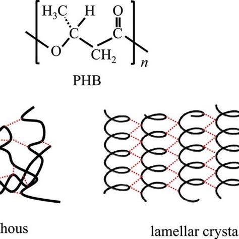 Color Online Chemical Structure Of Phb And Schematic Diagram Of Download Scientific Diagram