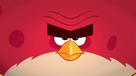 Im Da Biggest Bird ‼️🗣 Youtube