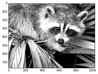2 6 使用Numpy和Scipy进行图像操作及处理 SciPy Lecture Notes 中文版