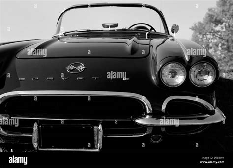 Silhouette De Corvette Stingray 11 Fascinating Facts You Never Knew
