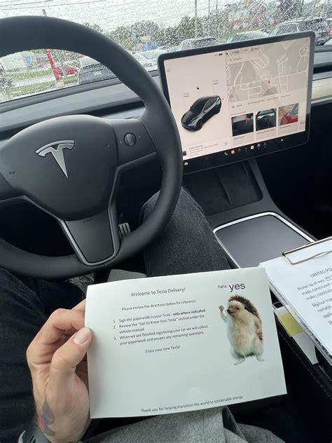 Myp Is The Model For Me R Teslamodely