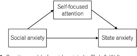 Figure 1 From The Relation Between Social Anxiety Self Focused Attention And State Anxiety The