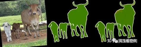 深度学习 Unet语义分割二分类与多分类的对比 知乎