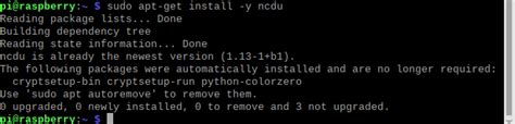 How To Analyze Storage Usage On A Raspberry Pi With Ncdu