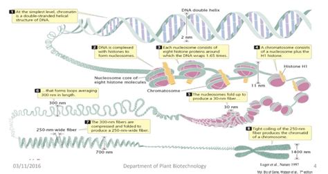 Histone Modification Sciencemission