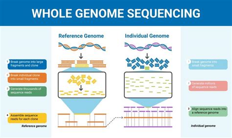 Nigeria Expands Genomic Sequencing Intervention Beyond Covid 19 Nigeria Expands Genomic Sequencing Intervention Beyond Covid 19