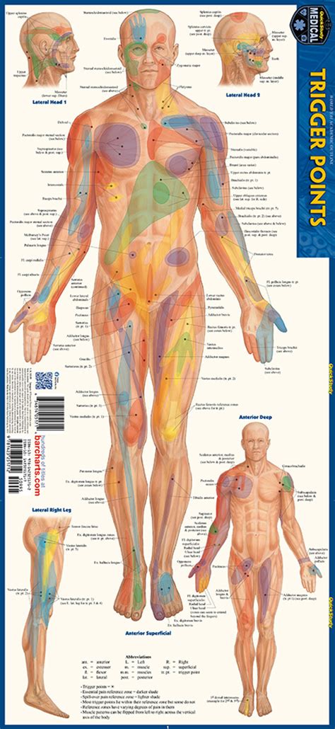 Trigger Points