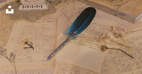 펼쳐진 책 위에 앉아 있는 푸른 깃털 깃펜 사진 Unsplash의 무료 미신 이미지