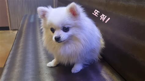 관절에 좋은 간식먹기~♡ Youtube