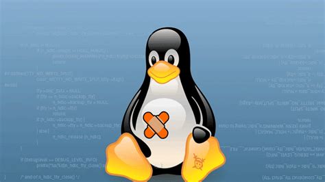 Exempt Escalation Flaw Concealed In Linux Kernel For Eight Years Certstation Blog