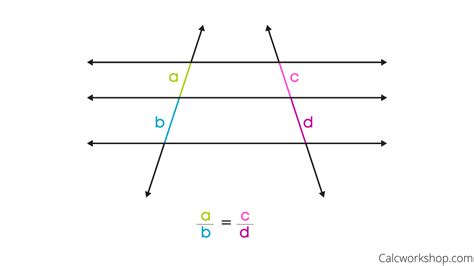 Triangle Similarity Theorems 23 Examples For Mastery
