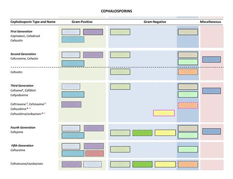 Bug Drug Chart Cephalosporins Diagram Quizlet