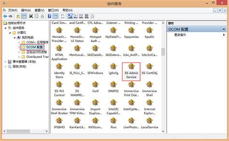 Windows81中组件服务dcom配置里属性灰色不可修改的解决办法 Caigan 博客园