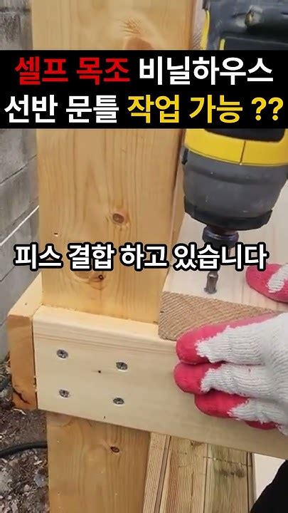 🏡 목조주택 And Diy 비닐하우스 만들기 내 손으로 직접 짓는 셀프 건축 프로젝트 Shorts 셀프인테리어 집꾸미기 Youtube