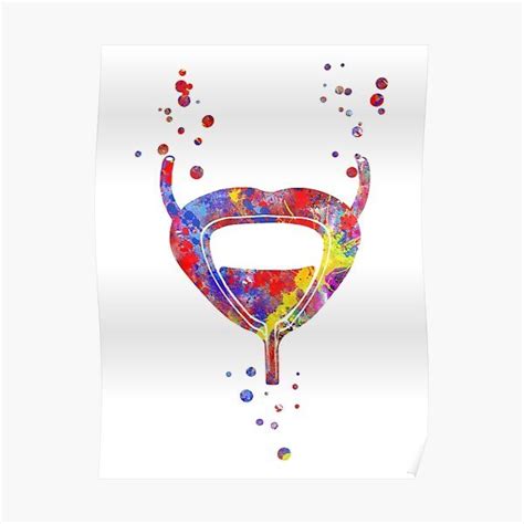 The Urinary System Explained