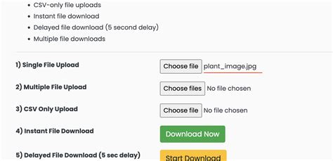 Upload And Download Files Using Playwright Java Codekru