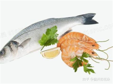 蛋白质你补对了吗 知乎
