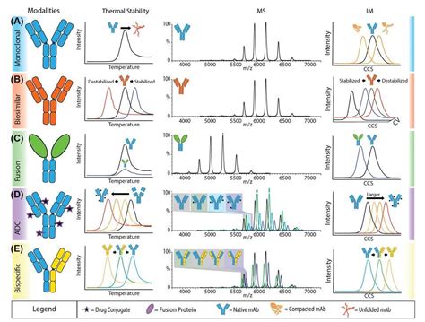 Protein Aggregation Analysis Creative Biostructure