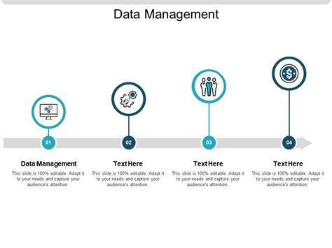 Data Management Ppt Powerpoint Presentation Slides Format Ideas Cpb