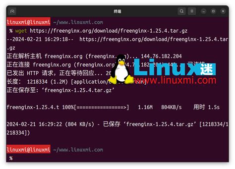 ubuntu 上安装 freenginx 的终极指南 linux迷