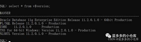 Windows10 安装 Oracle 11g数据库教程windows10安装oracle11g Csdn博客