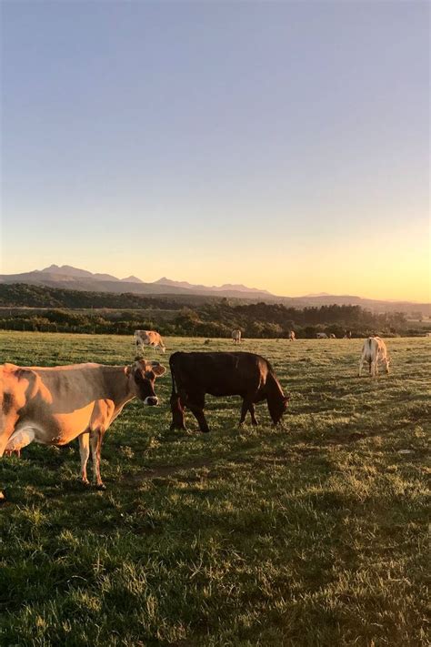 Photo By Steyn Viljoen On Pexels Vacation Locations Vacation Trips Trip