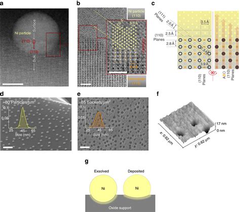 Exsolved Particlesubstrate Interface A Tem Micrograph Dark Field