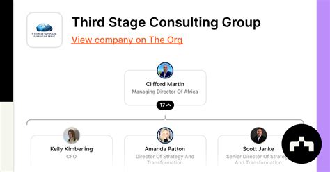 Third Stage Consulting Group The Org