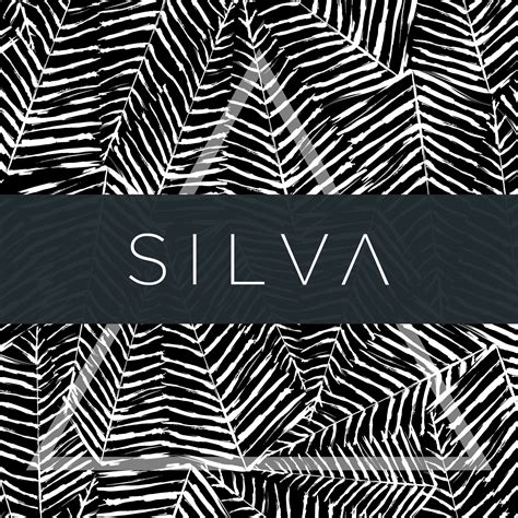 Silva Web Designs Our Creativity Meets Technology 👨‍💻