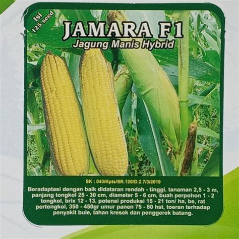 Jual Isi 250 Biji Benih Jagung Manis Jamara 50 Gram Bibit Jagung Manis