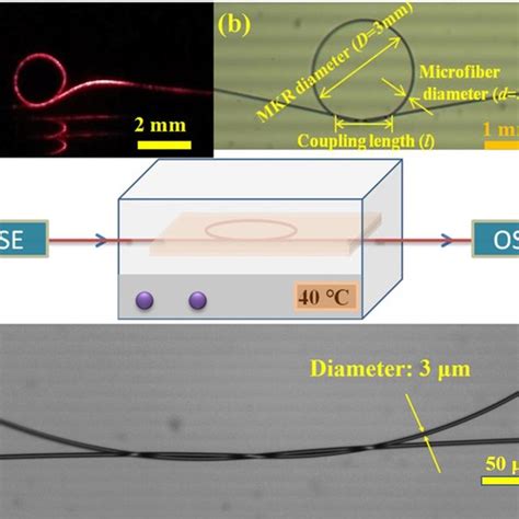 Pdf A Highly Sensitive Temperature Sensor Based On A Microfiber Knot Resonator Packaged In