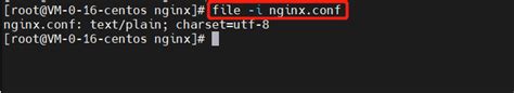 unknown directive mp4 in etc nginx nf 龙凌云端 博客园
