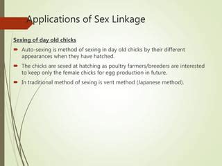 Sex Linked Sex Influenced Sex Limited Traits In Poultry PPTX Reproductive Health